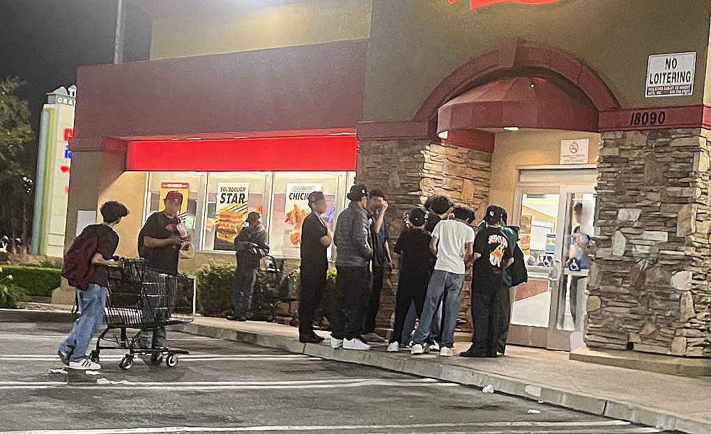 Local crime: The actions of some may ruin it for all – The Plaid Press